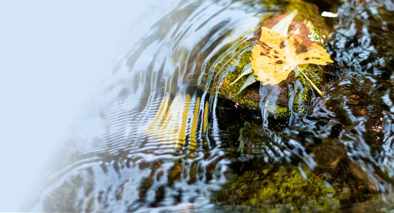 Home - Edge AnalyticalEdge Analytical